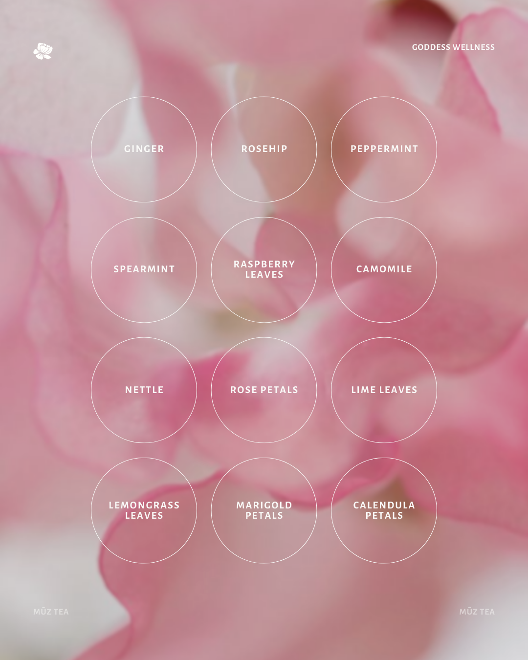 Cycle Syncing with Tea: How Goddess Wellness Supports Every Phase of ...